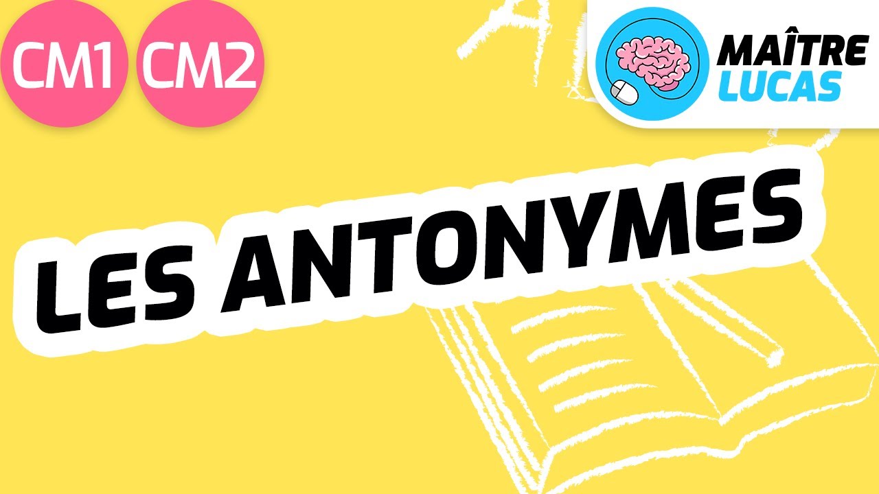 Les contraires - antonymes CM1 - CM2  - Cycle 3 - Français - Lexique