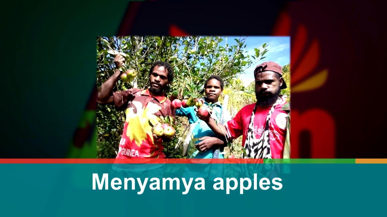 Menyamya apples