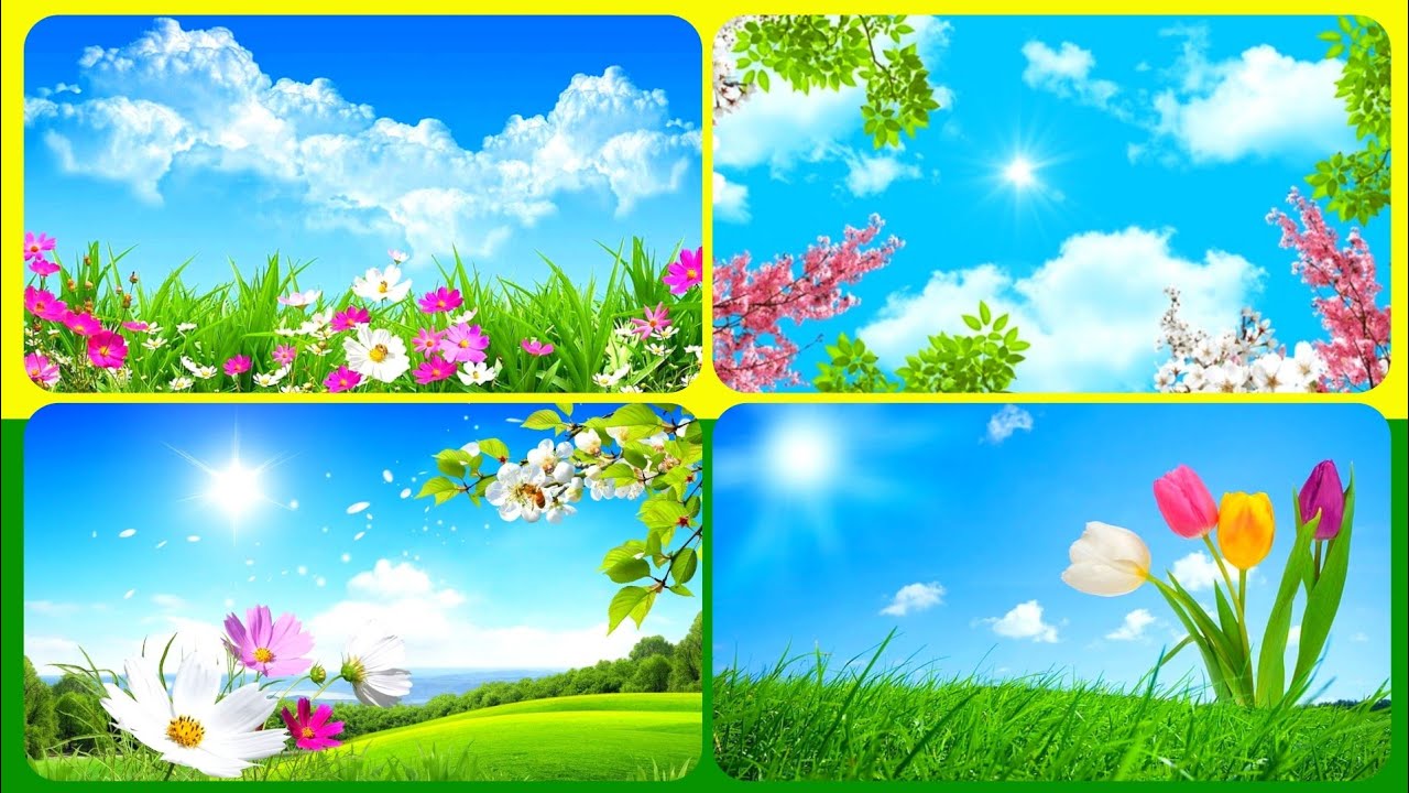 Summer Wallpapers, Dpz For Background Use @Nature Beautiful Wallpapers