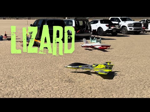 Sab Avio Lizard flown by pilot “speed Lee”