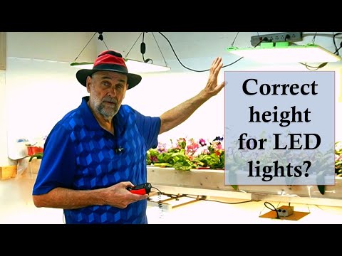 The Secret to Growing Under LED Lights - The Correct Height?
