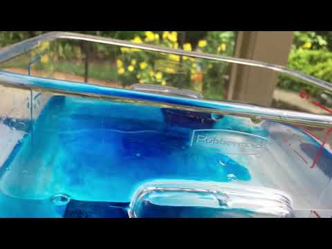 Convection Current Experiment - North Carolina Wildlife Federation