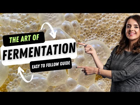 The Art of Fermentation: Food Fermentation Explained