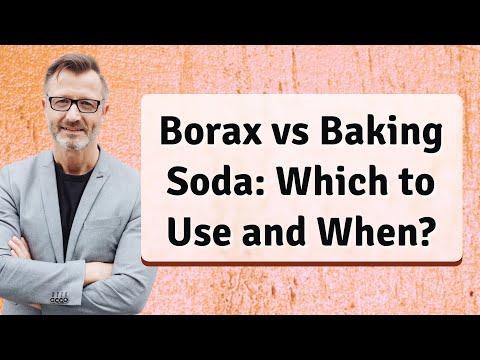 Borax vs Baking Soda: Which to Use and When?