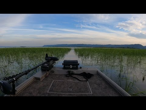 Mississippi River wing dam Fishing! (Walleyes, Bass, Catfish & More!)