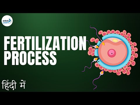 Reproduction - Lesson 05 | Fertilization Process - in Hindi (हिंदी में ) | Infinity Learn