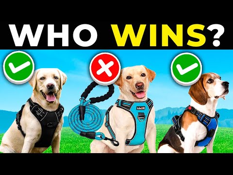 TOP 5 BEST DOG HARNESSES 2025 | NO PULL DOG HARNESSES on AMAZON