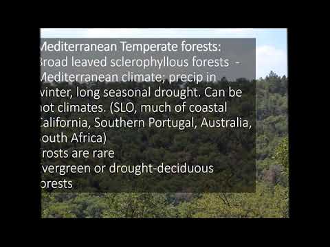 Lecture 3 temperate forests