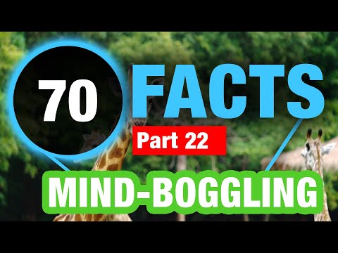 70 Interesting Facts | Facts You Won’t Believe