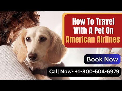 How To Travel With A Pet On American Airlines || Pet Policy || Call Now- +1-866-217-1292