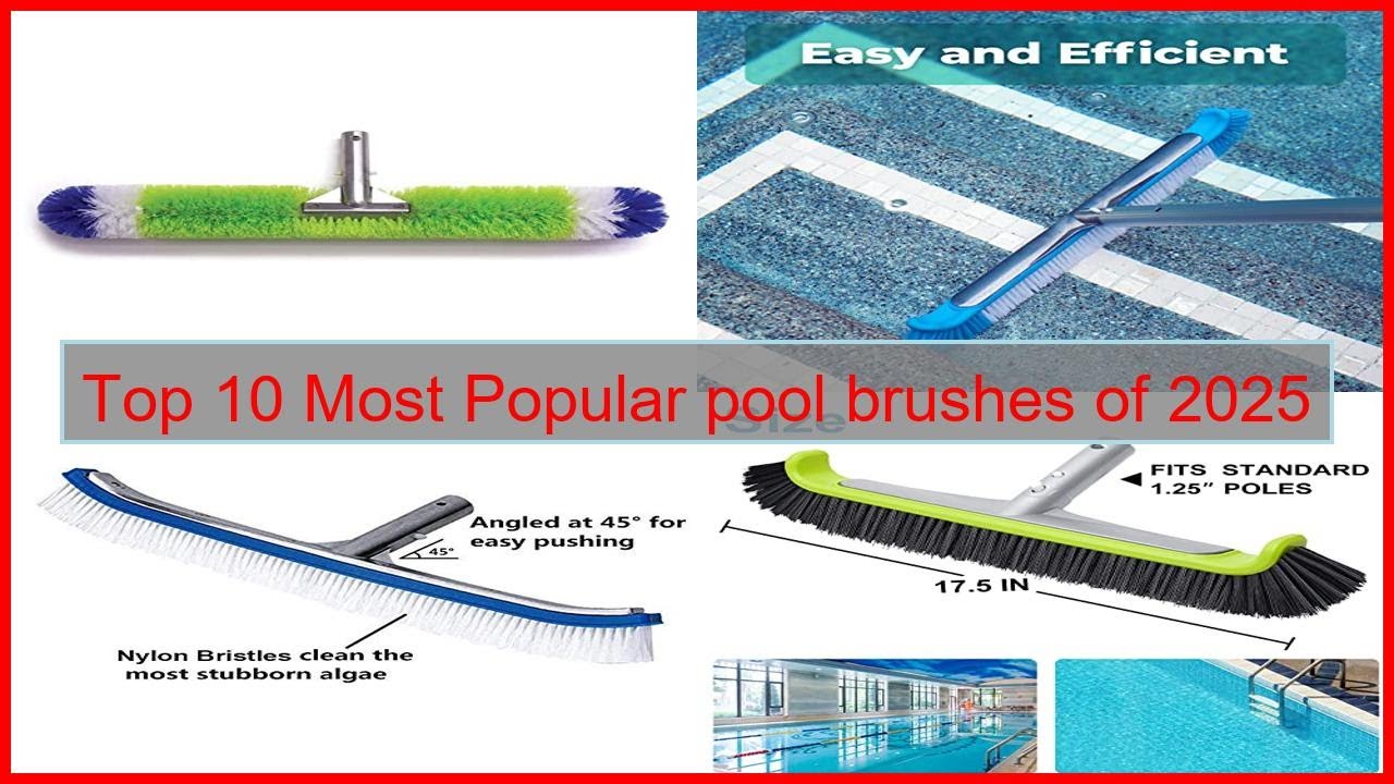 Top 10 Most Popular pool brushes of 2025
