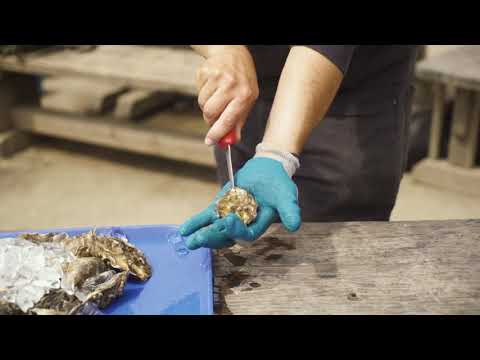 How to Shuck an Oyster: with Hog Island Oyster Company