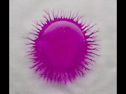 Marangoni effect on an aqueous polymer network