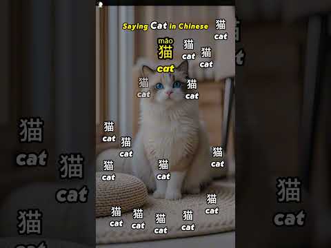 Learn Chinese words in 10 seconds|Cat|猫#shorts