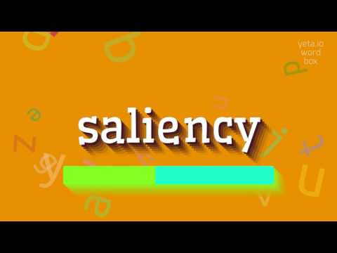 How to say "saliency"! (High Quality Voices)