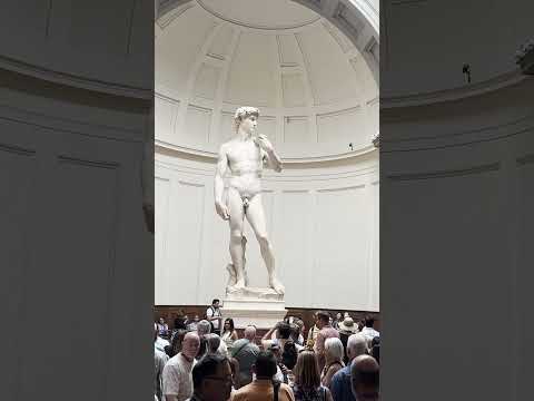 Michelangelo David - Galeria del"Accademia #florence