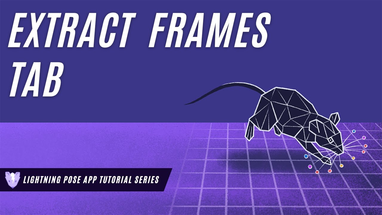 Lightning Pose App - Extract Frames Tab