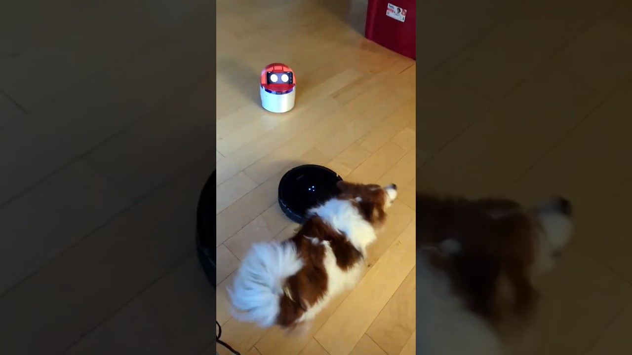 Can your Arduino robot do THIS? Part 1 #remakeai #arduino