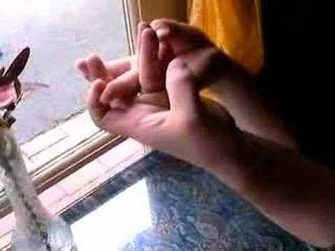 Mudras: Tibetan Mind Seal