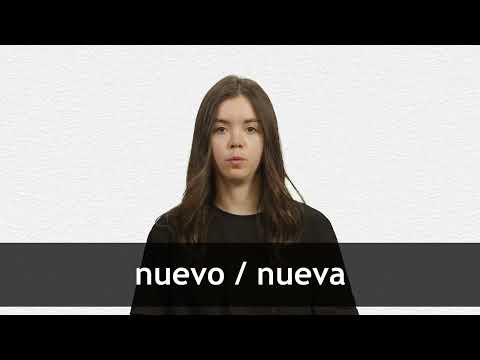 English Translation of “NUEVA” | Collins Spanish-English Dictionary