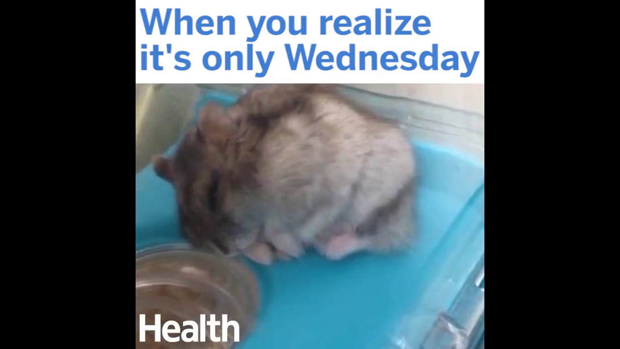 When You Realize it's Only Wednesday Gif