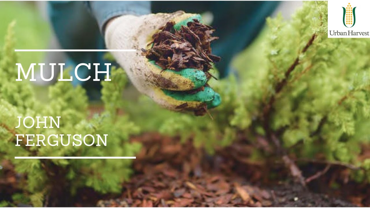 Mulches and Compost - A Gardeners Secret Weapon
