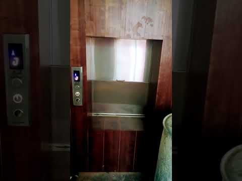 Dumbwaiter Lift - SS Dumb Waiter Elevators Service Provider from New Delhi