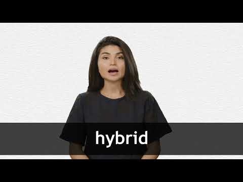 HYBRID 释义 | 柯林斯英语词典