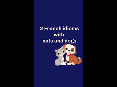 2 #french #idioms with #cats and #dogs - #learnfrench