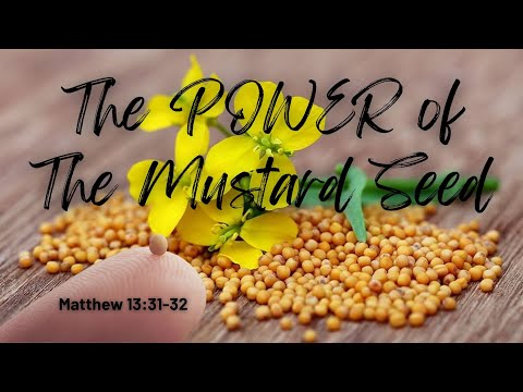 The POWER of The Mustard Seed by Pastor Robert Hernandez FULL SERVICE UPLOADED