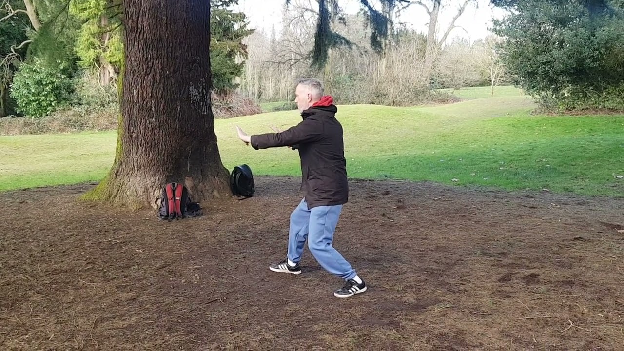 Huang style short form 1st third Taichi ☯️🙏🏼