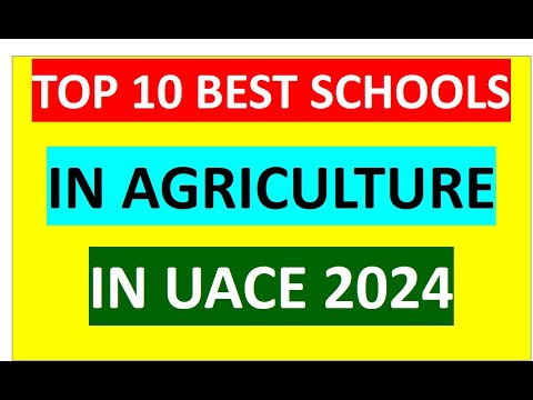 BEST SCHOOLS IN AGRICULTURE IN UACE RESULTS 2024