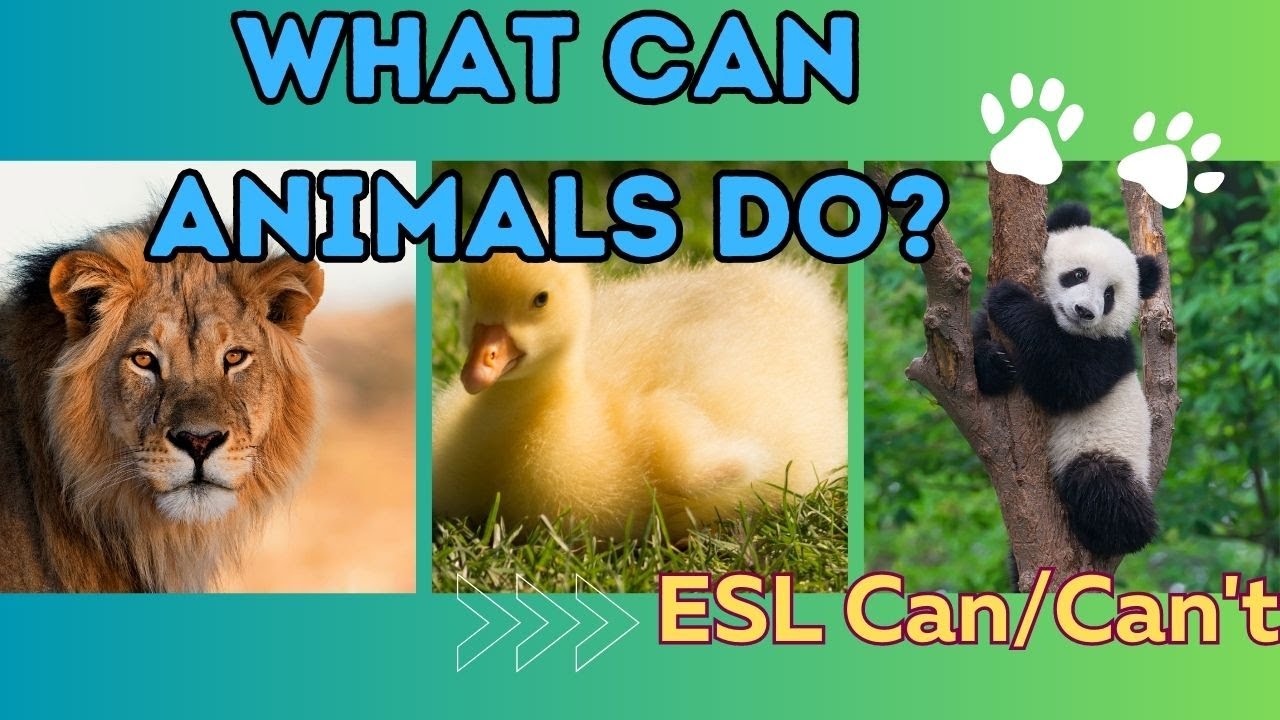 What Can Animals Do? - ESL Can / Can't Abilities
