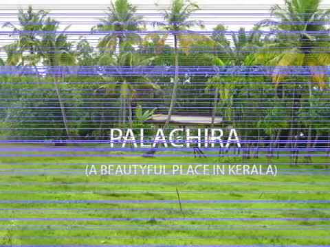 Palachira....Beautiful n fabulous place In Kerala.. | Veethi