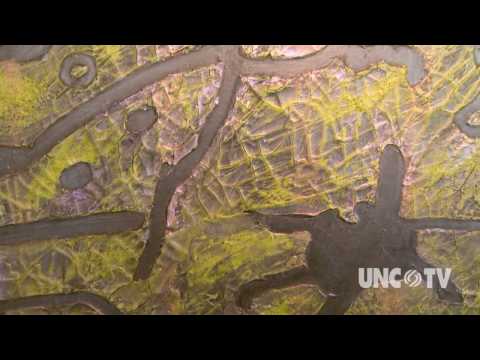 NC NOW | Beverly Dickson Petroglyphs | UNC-TV