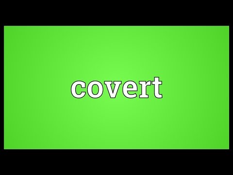 Covert Meaning