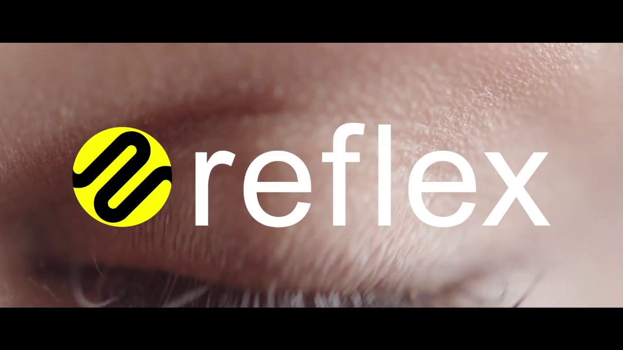 Reflex: Export to PDF