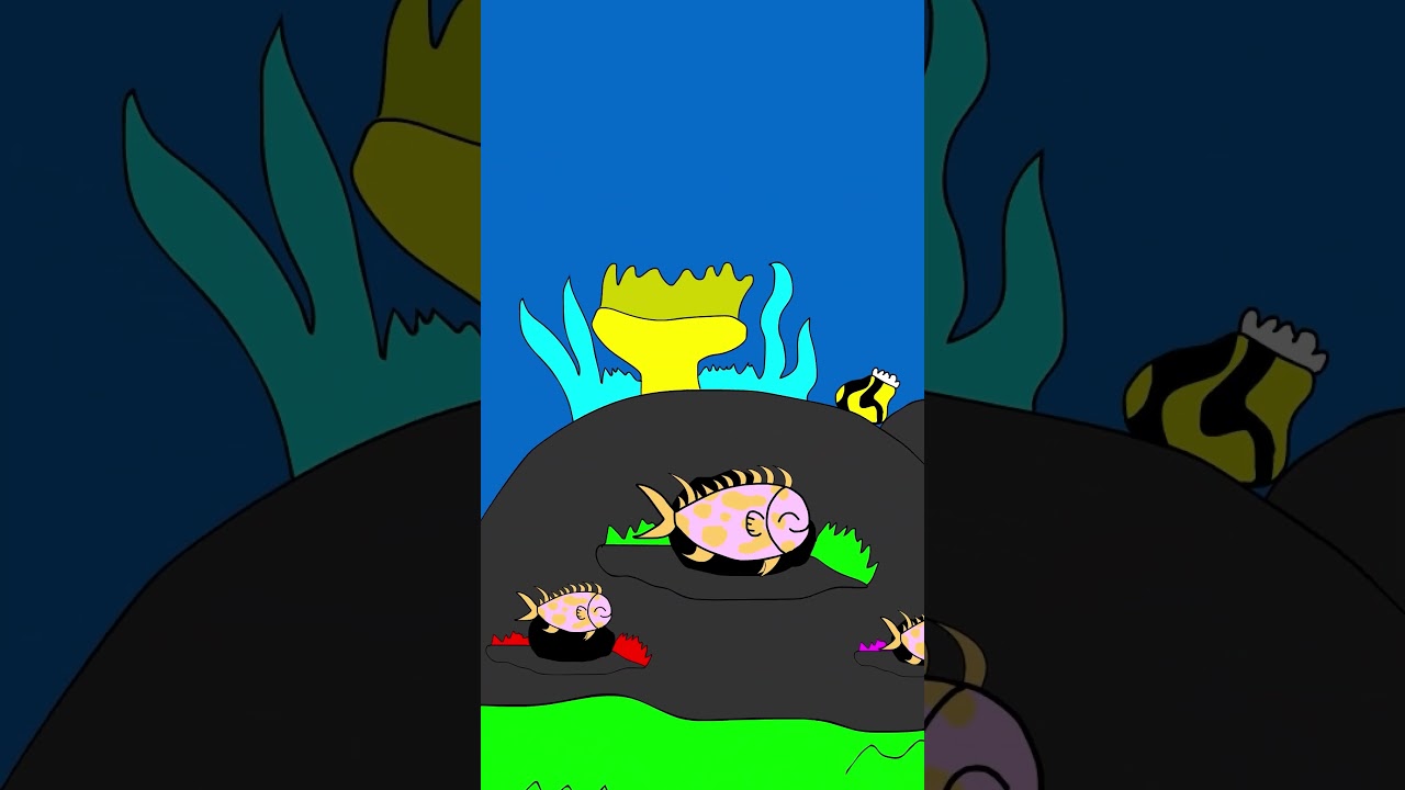 fish shorts 2D YouTube