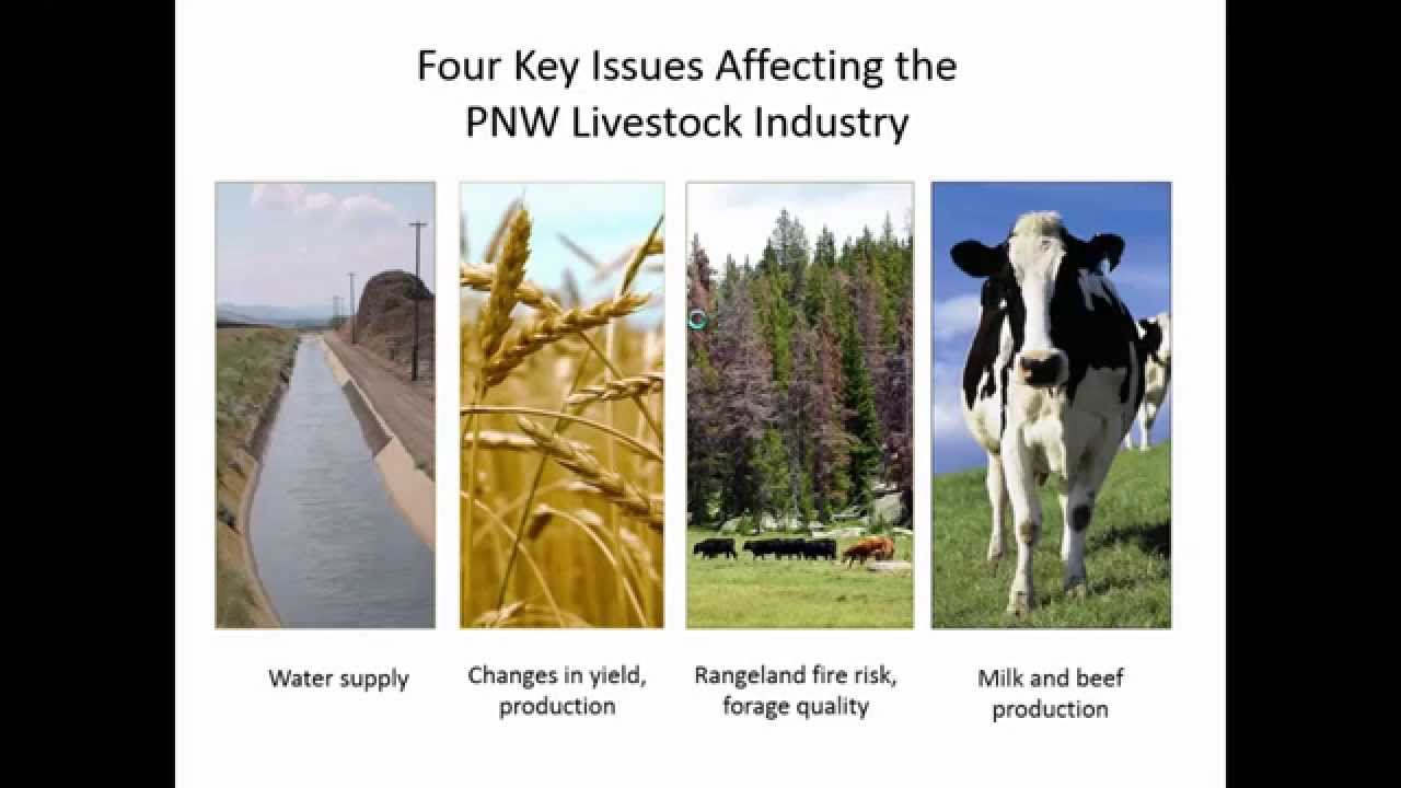 Climate Change Impacts on Western U.S. Livestock