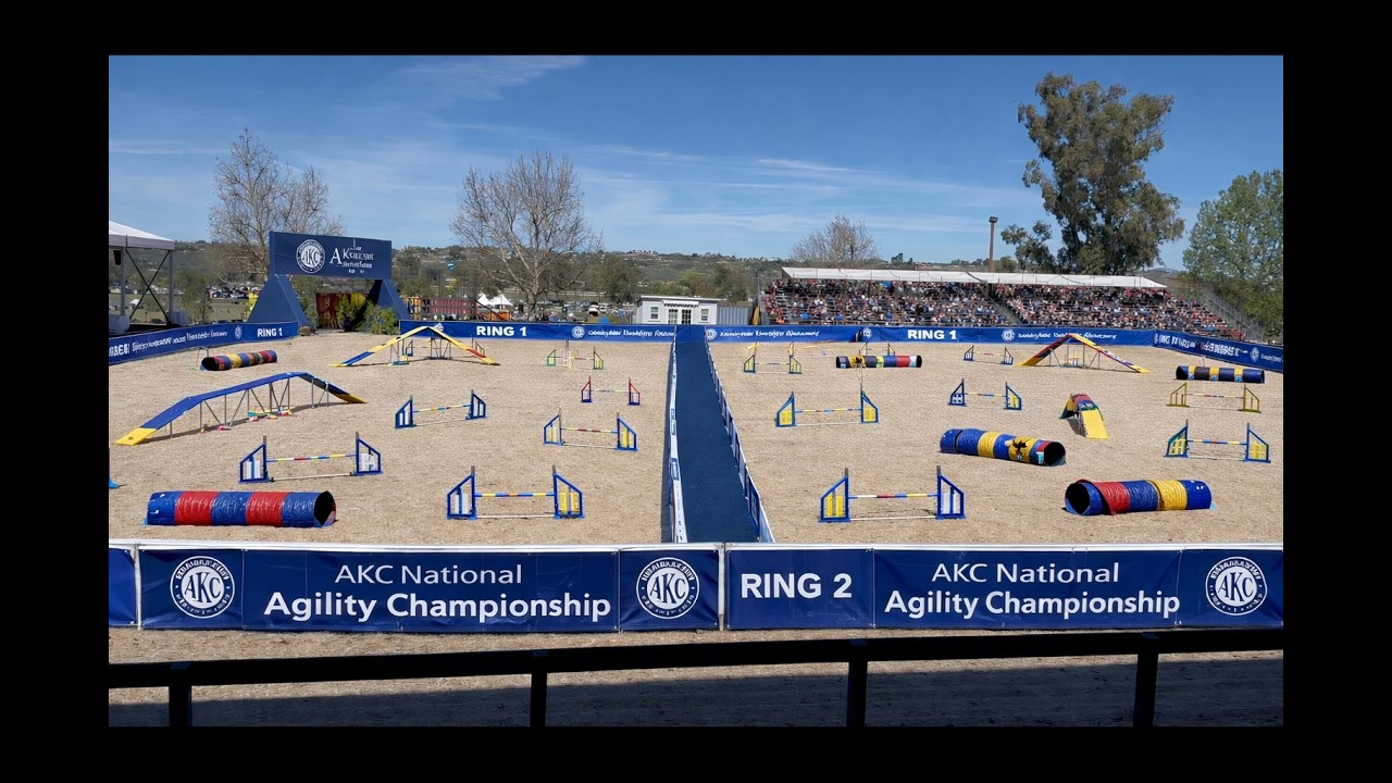Visual Tour Galway Downs 2026 NAC