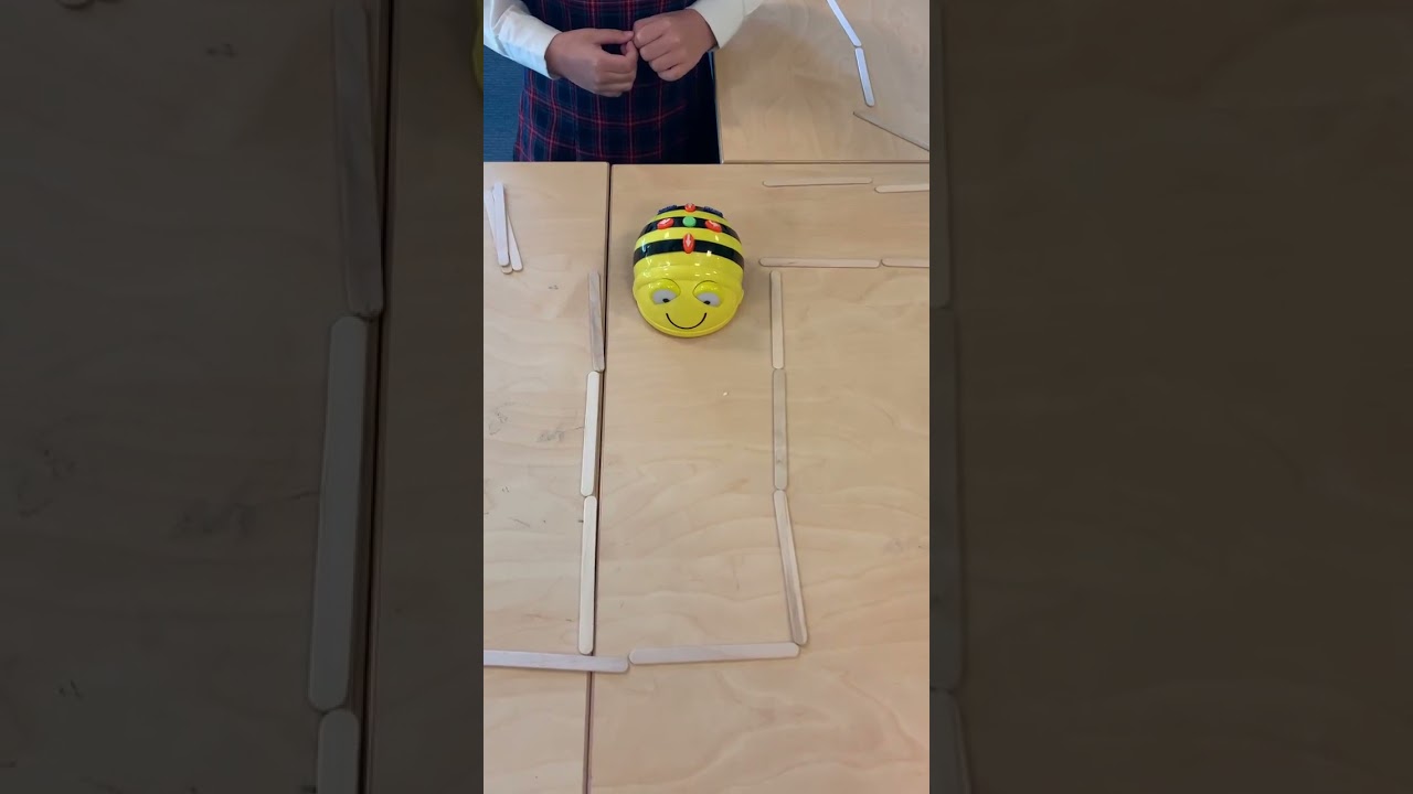 Year 1 -  Bee Bot Success
