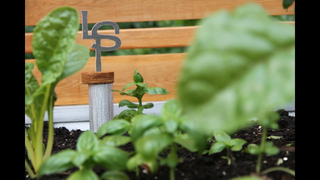 LifeSpace Gardens - Selfwatering for easy vegetable growing