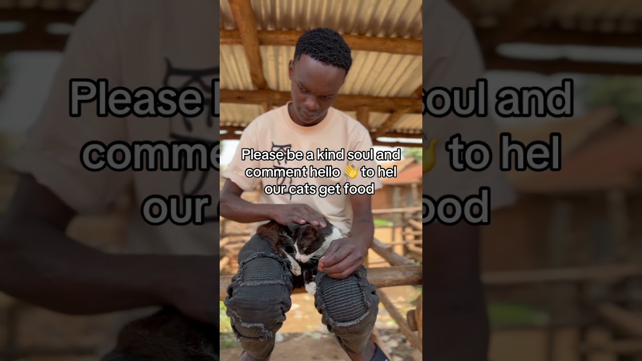 Little help matters@ please you may not scroll if you’re a cat lover and press buttons to help🥹🙏🙏