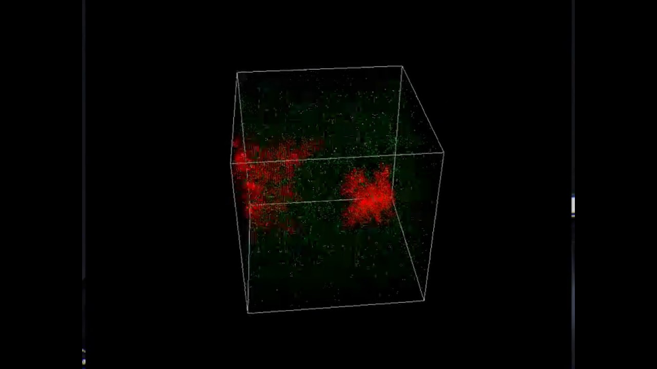Diffusion Limited Aggregation (Full)