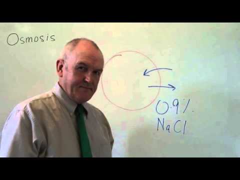 Osmosis examples