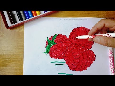 How to draw raspberries, draw raspberries step by step, #YouTubeKids ...