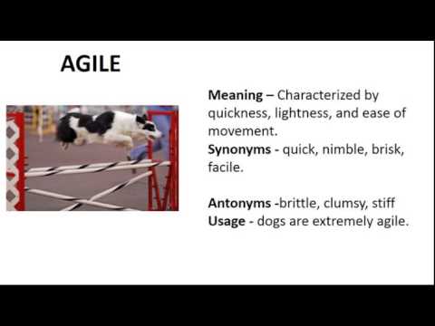 Vocabulary Made Easy Meaning of Agile, Synonyms, Antonyms and its Usage