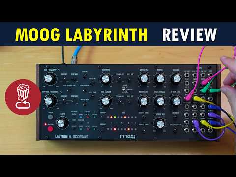 Moog Labyrinth Parallel Generative Analog Synthesizer | Reverb UK