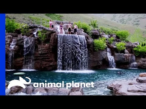 The Jaw-Dropping Ultimate Backyard Escape | The Pool Master