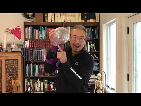 Smart Sensor Tracker & Coaching Ring Explained